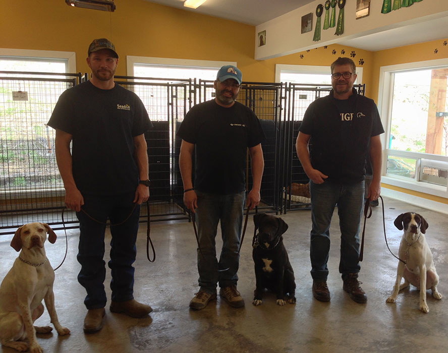 Obedience Training Gallery